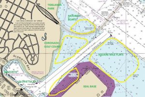 Fishing San Diego Bay – Tips & Tricks - SDFish Articles