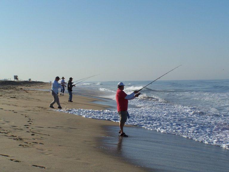 SoCal Surf Fishing Articles Archive - SDFish Articles